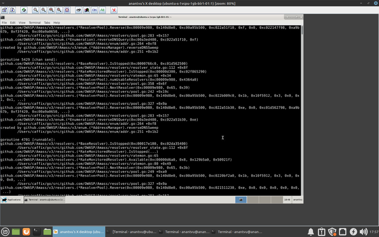 Some really strange errors when I run amass enum -active and amass enum ...