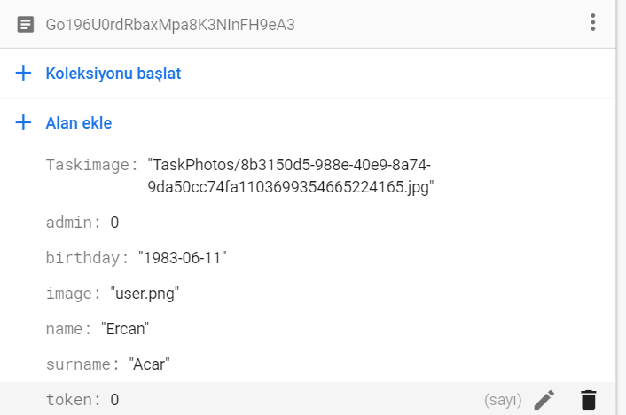 GitHub - berkin-oztekin/ActOne-Flutter-MobileApp: This is a mobile application which helps to ...