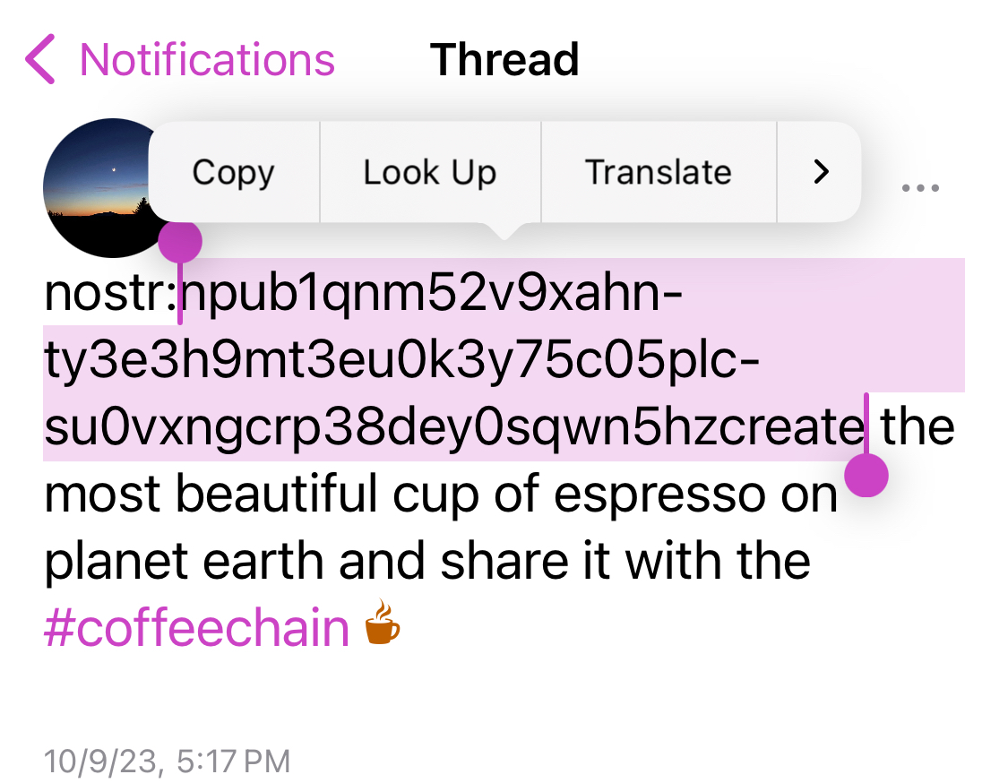 Profile name does not render · Issue #1584 · damus-io/damus · GitHub