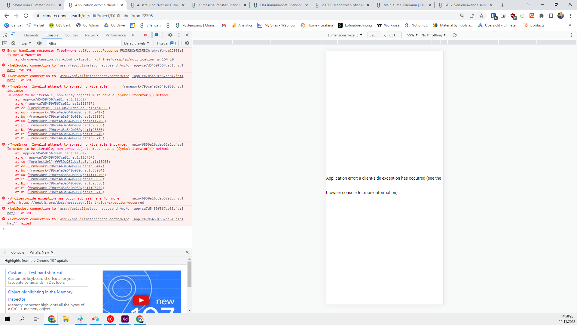 Bug: Application error when clicking X in edit category in edit Project ...
