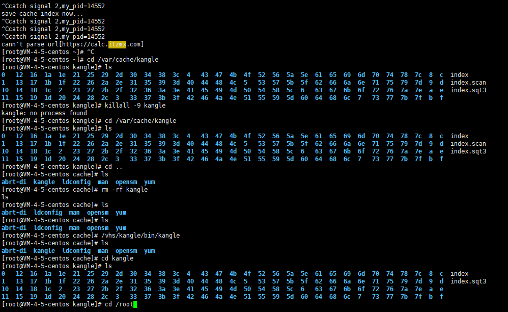 重启kangle后就一直3秒倒计时反复启动，永远启动不起来了 · Issue #41 · keengo99/kangle · GitHub