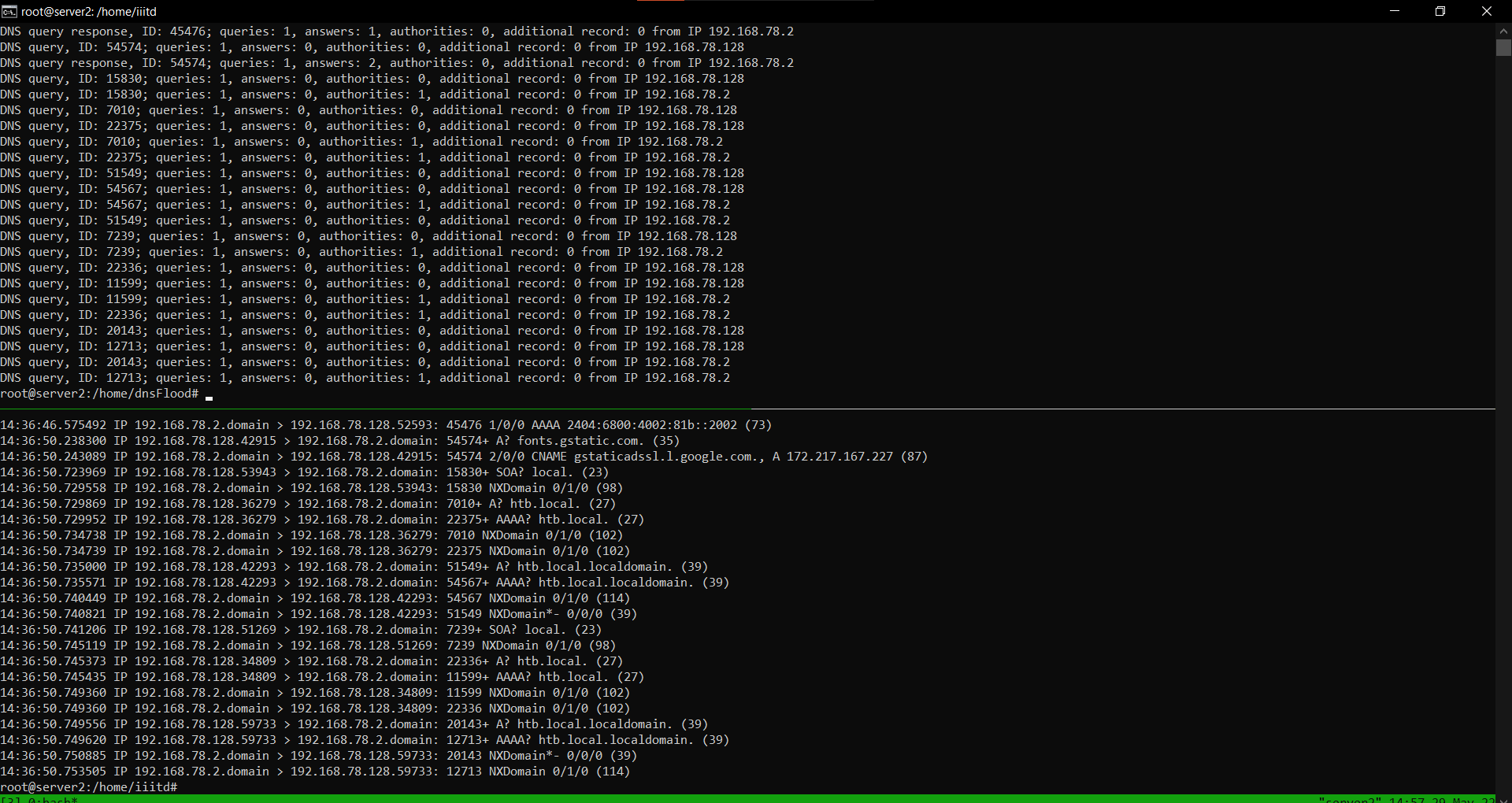 DNS response NX domains are classified as DNS query because there are ...