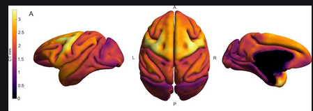 Super New to pycortex · Issue #382 · gallantlab/pycortex · GitHub