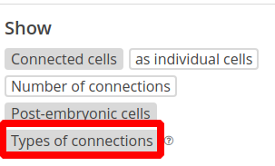Do not color functional connections when "show types of connections" is enabled · Issue #30 ...