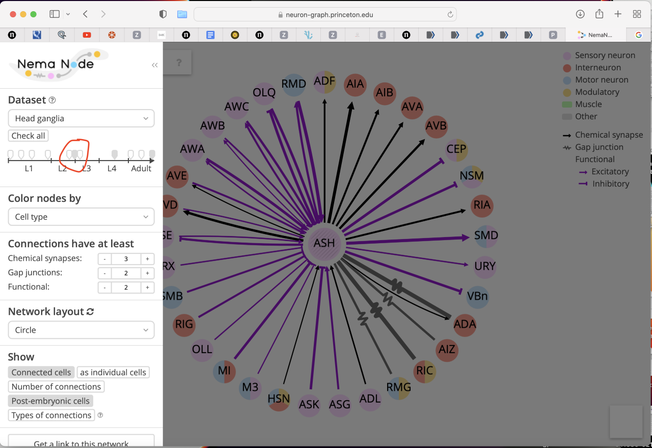 Data location for Randi et. al on worm- age timeline is incorrect · Issue #66 ...