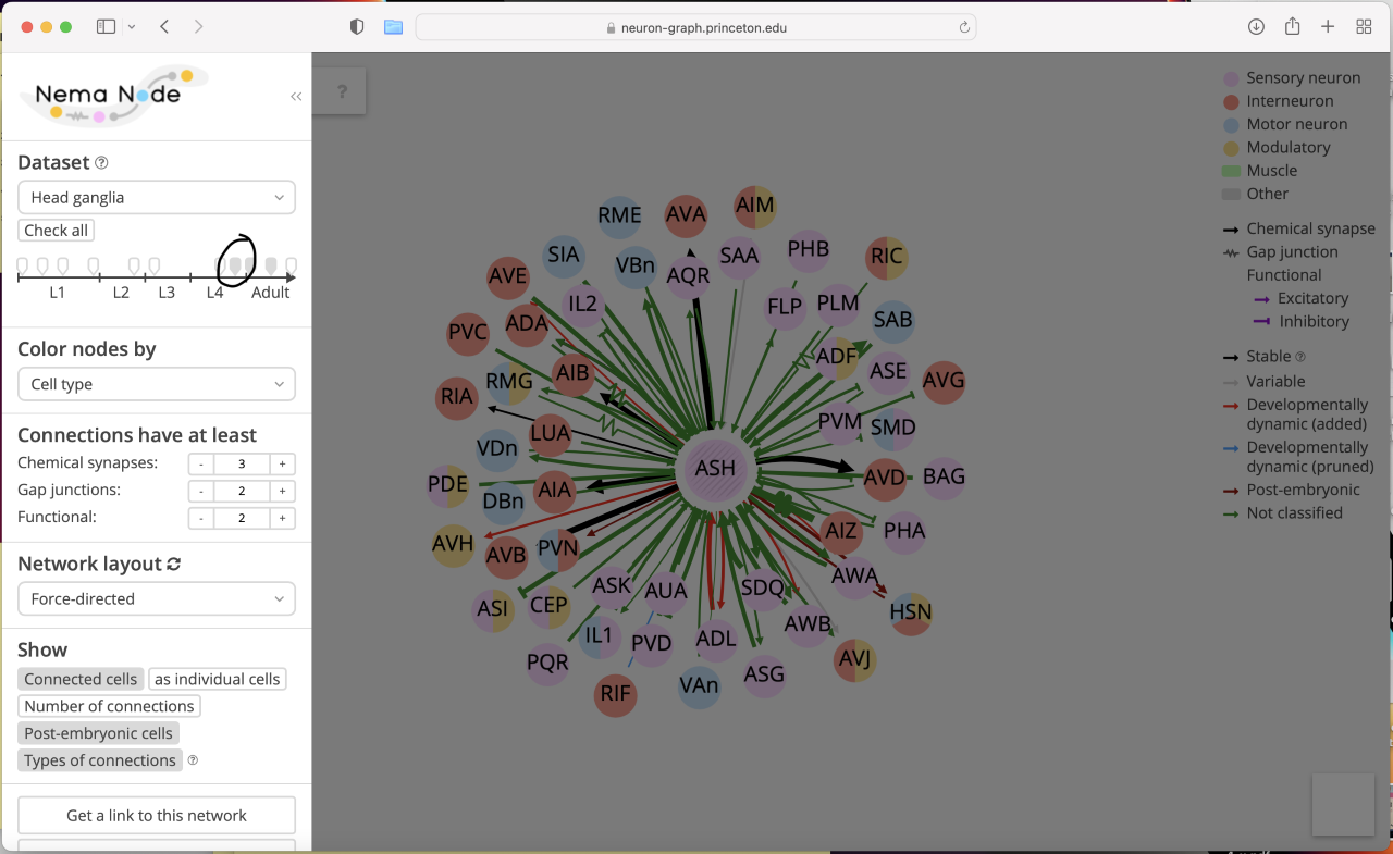 Data location for Randi et. al on worm- age timeline is incorrect · Issue #66 ...