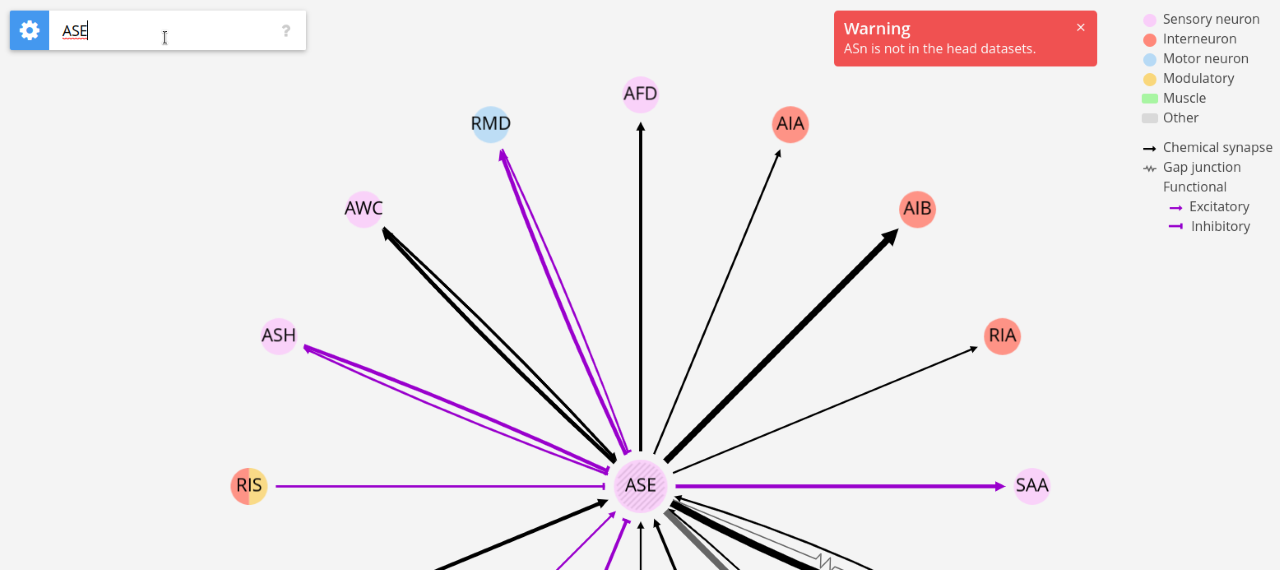 Ensure the list of cells in the head allows for all of the measured functional connections to be ...