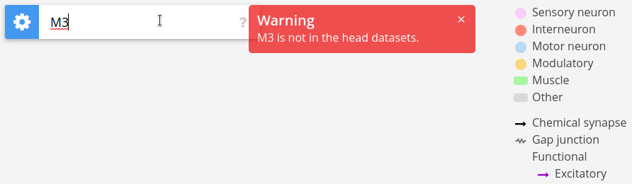 Add functional connections data to "complete animal" in addition to "head ganglia" dataset ...