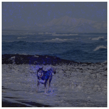 GitHub - Glitch0000/Saliency_Maps: Like class activation maps, saliency maps also tells us what ...