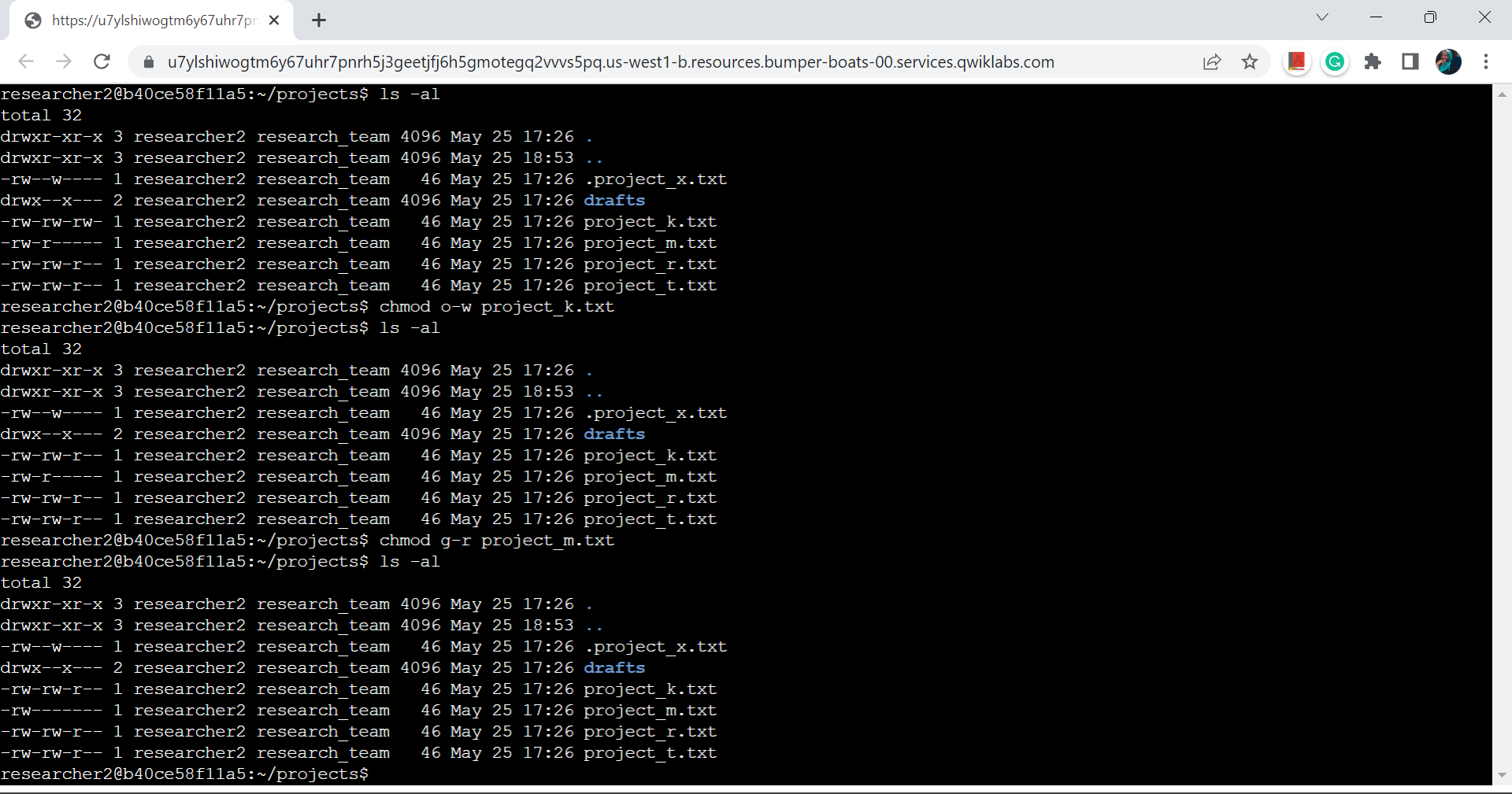Google-Cybersecurity-Professional-Certificate-Projects/linux-file-permissions.md at main ...