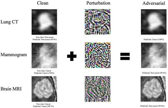 GitHub - Aneja-Lab-Yale/Aneja-Lab-Public-Adversarial-Detection: Investigating the robustness of ...