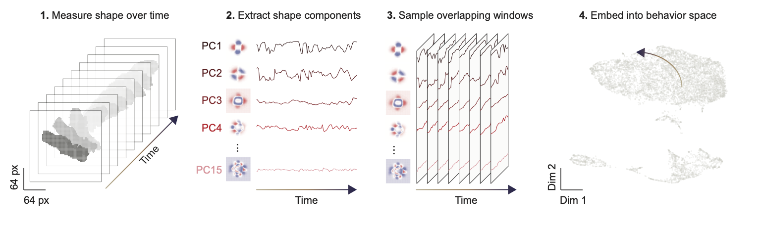 GitHub - Arcadia-Science/comparative-amoeboid-crawling