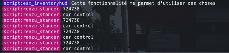 Item doesn't work · Issue #2 · renzuzu/renzu_stancer · GitHub