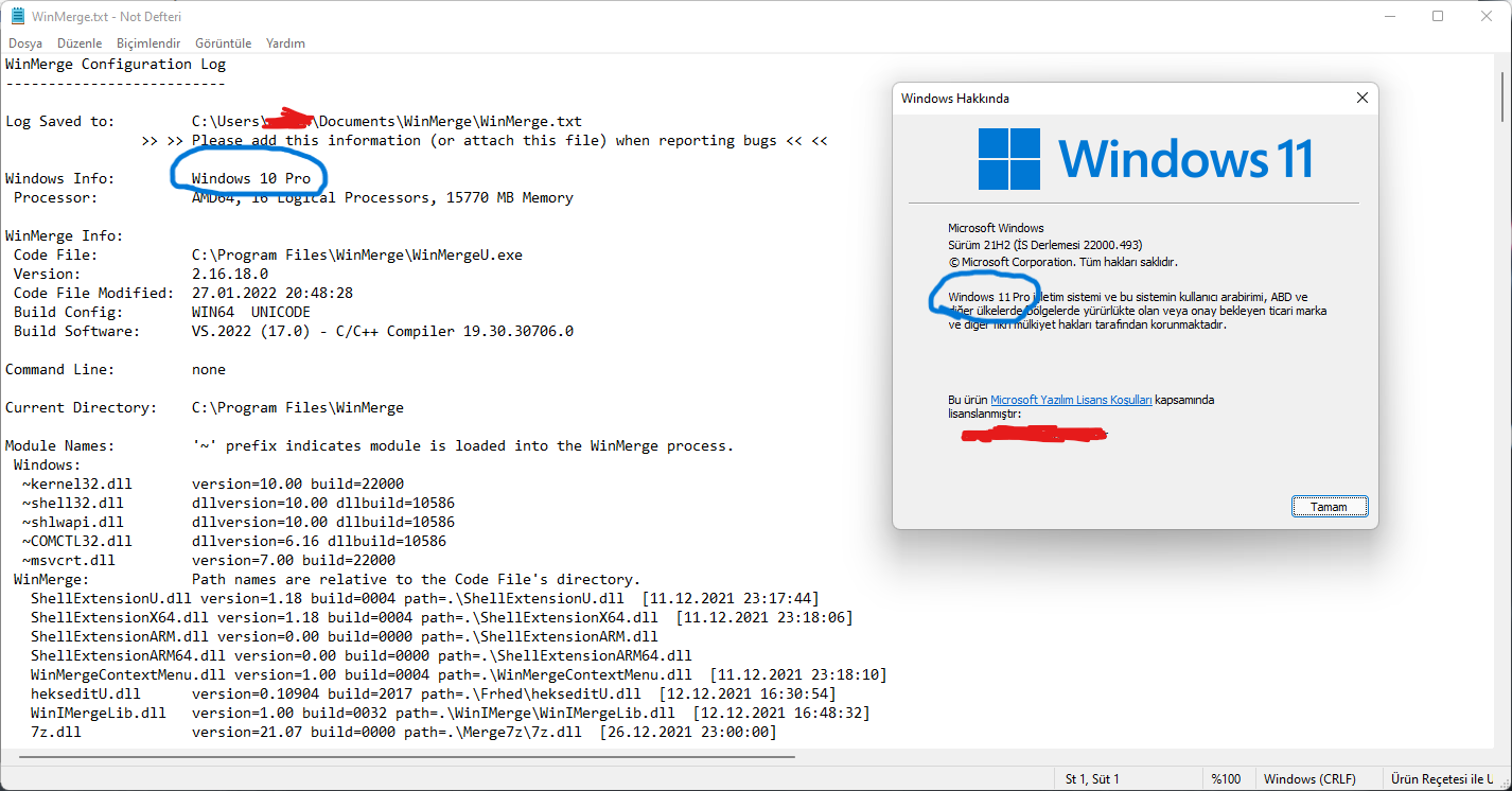 [Bug Report] WinMerge does not recognize Win 11 · Issue #1192 · WinMerge/winmerge · GitHub