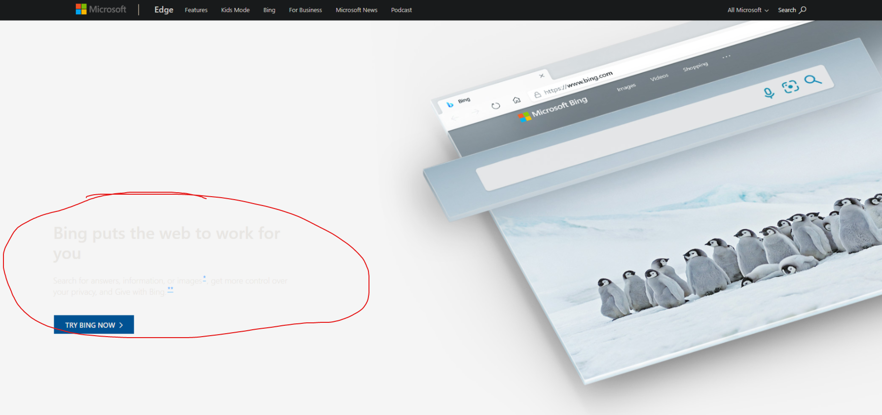 [Broken Website] Pictures not appearing and white text on white background · Issue #7971 ...