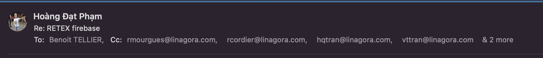 [WEB] Do not hide recipients infos · Issue #985 · linagora/tmail-flutter · GitHub