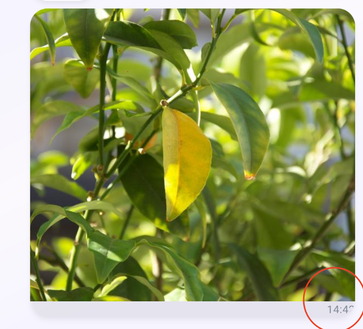 [UI] Apply new UI for message bubble · Issue #8 · linagora/twake-on-matrix · GitHub