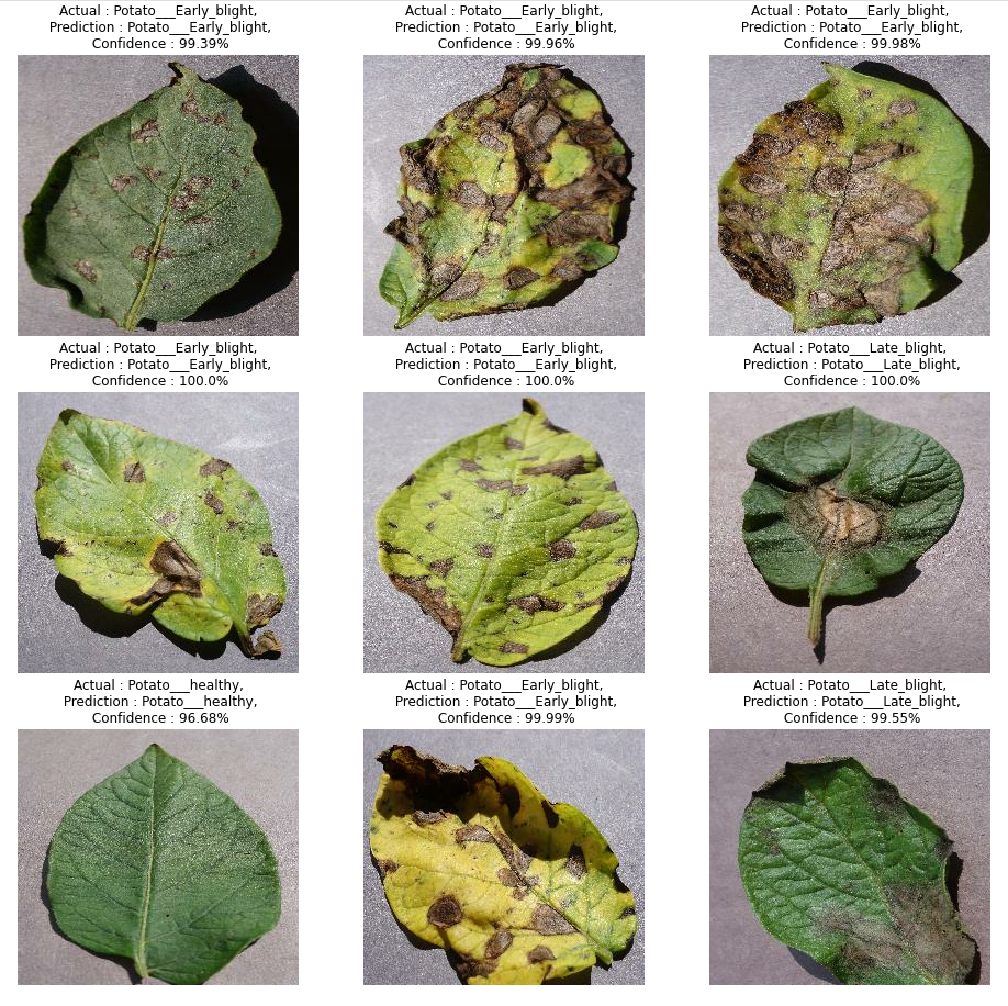 GitHub - Arman170616/Potato-Leaf-Disease-Classification: Potato Disease ...