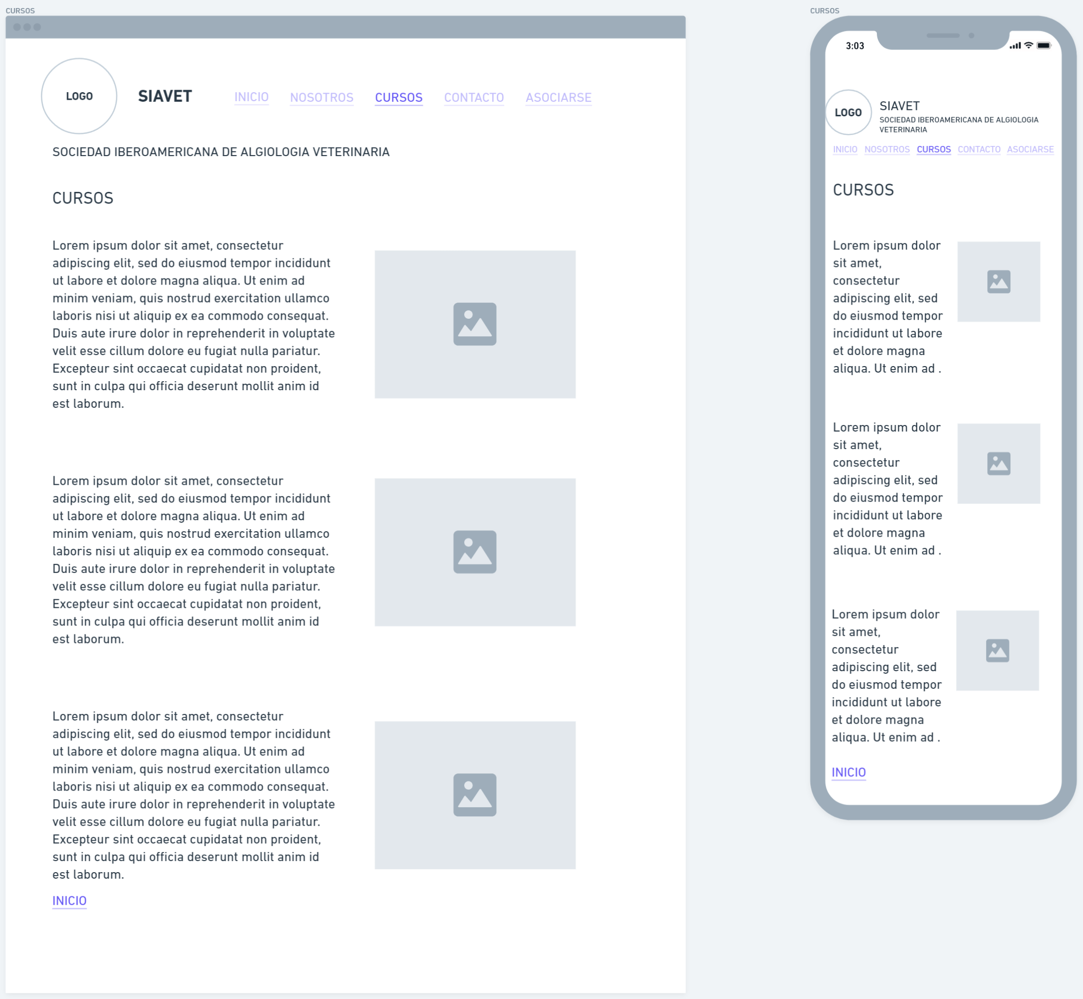 GitHub - MatsNC/Proyecto_Final_Correa: Repositorio de Web Siavet (Proyecto Final)