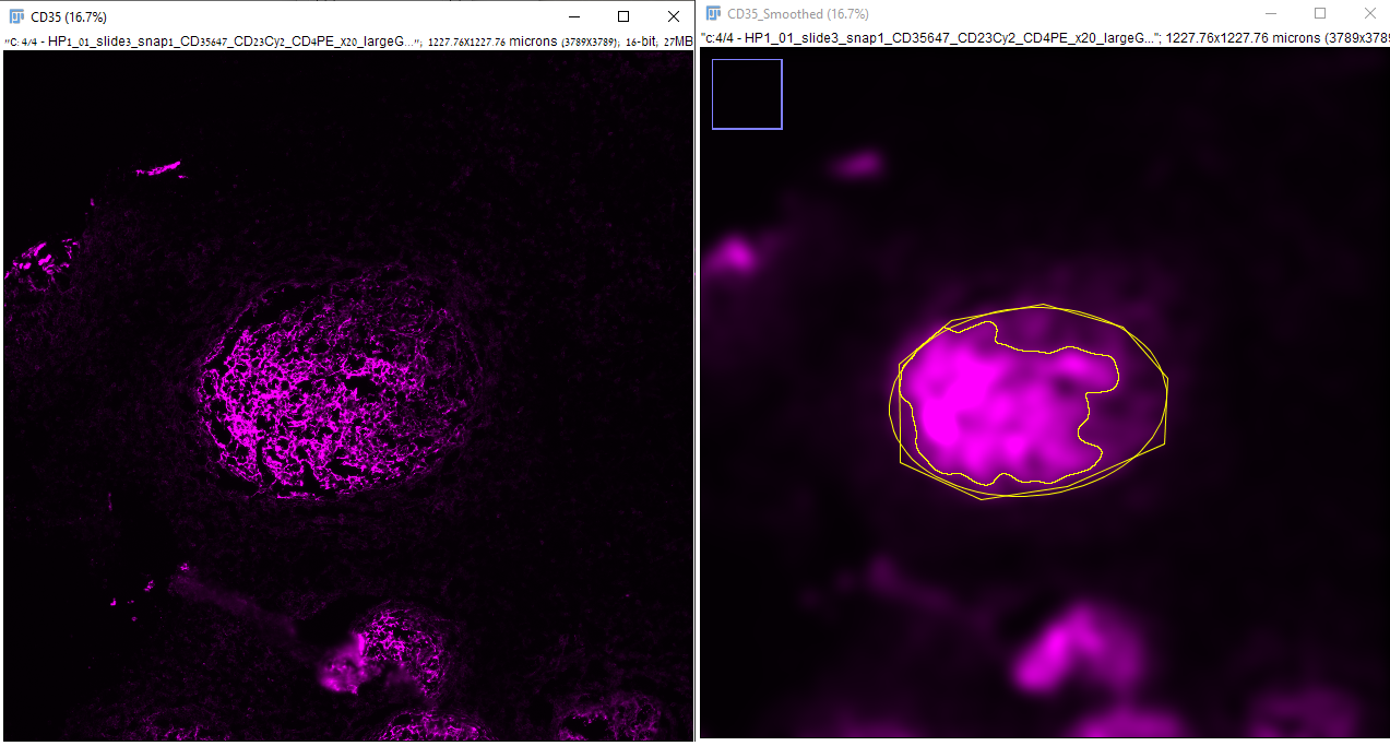 GitHub - WIS-MICC-CellObservatory/GC-Analysis: Identify distinct ...