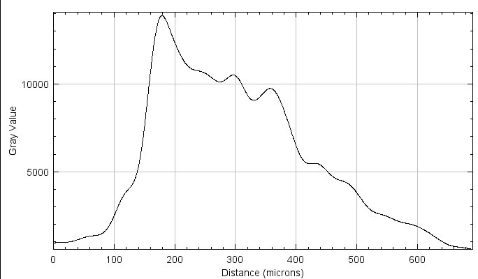 GitHub - WIS-MICC-CellObservatory/GC-Analysis: Identify distinct ...
