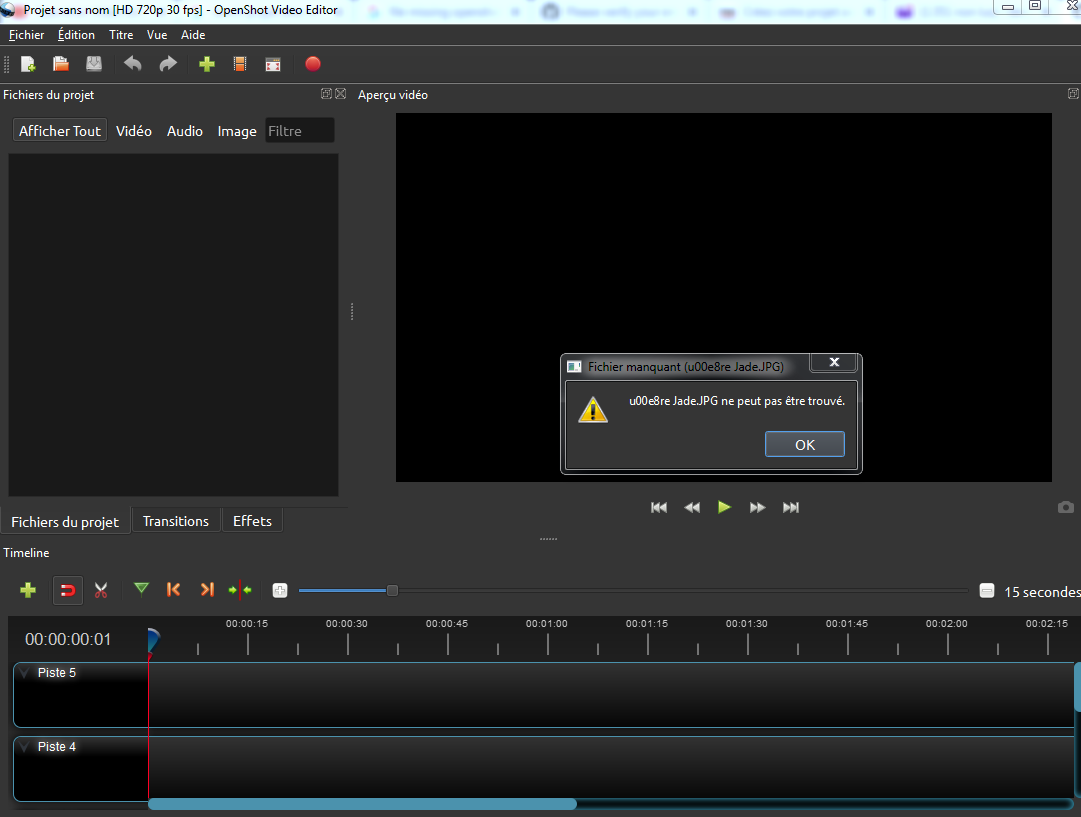 missing file even in case of good path · Issue #3444 · OpenShot/openshot-qt · GitHub