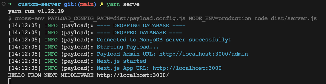 custom-server: Next.js middleware does not work in production · Issue #3653 · payloadcms/payload ...