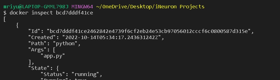Github Learnermp Docker Assignment