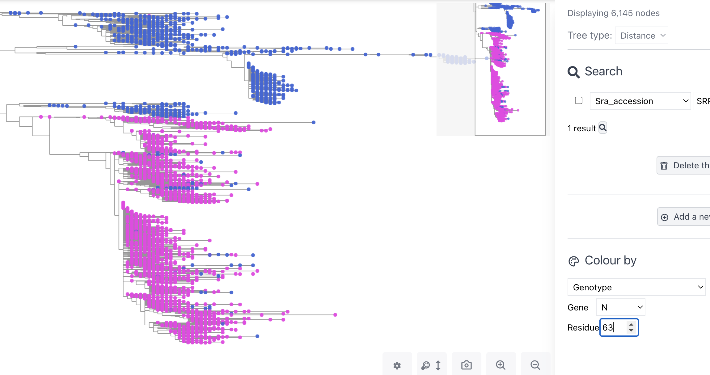 Site to check in 0.9 SA viridian/G trees - N63 · Issue #54 · iqbal-lab-org/viridian · GitHub
