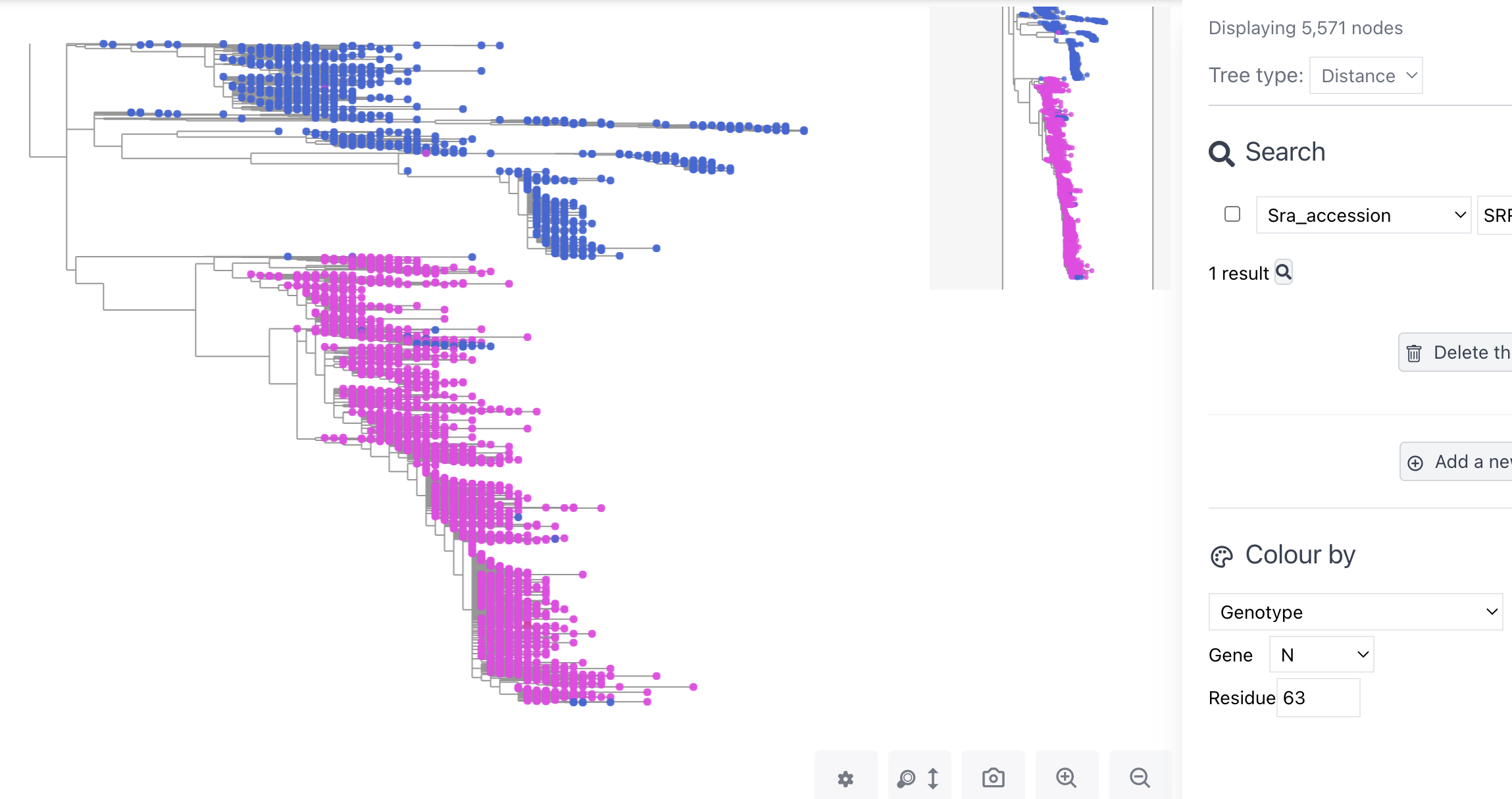Site to check in 0.9 SA viridian/G trees - N63 · Issue #54 · iqbal-lab-org/viridian · GitHub