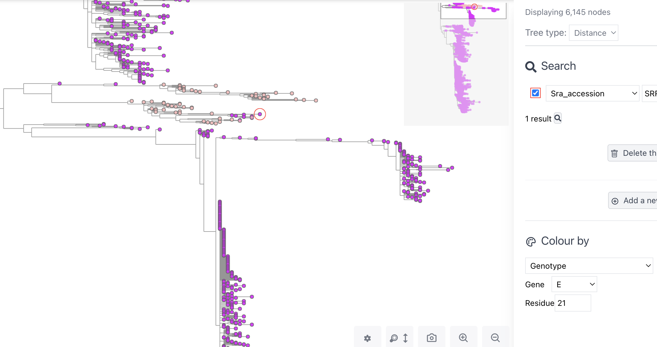 Site to check in 0.9 SA viridian/G trees - something weird in C.1.2 at E21 · Issue #61 · iqbal ...