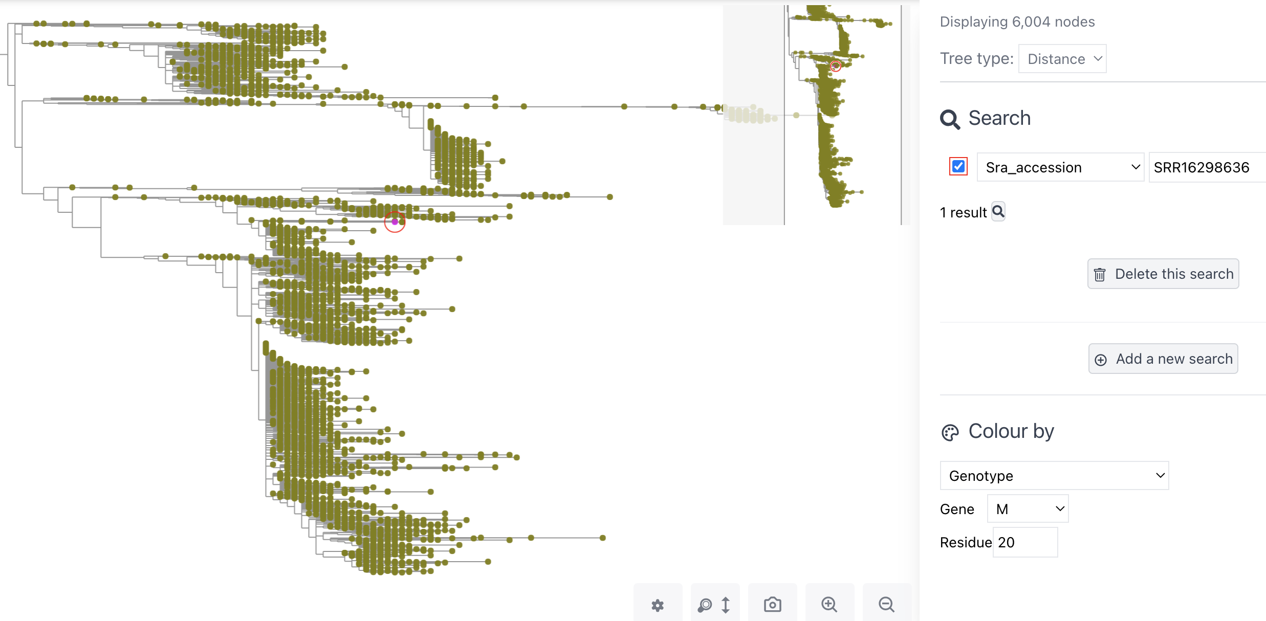 SRR16298636 looks odd at M20 · Issue #64 · iqbal-lab-org/viridian · GitHub