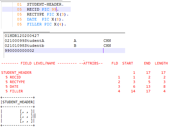 NOT DIVISIBLE by the RECORD SIZE · Issue #182 · AbsaOSS/cobrix · GitHub
