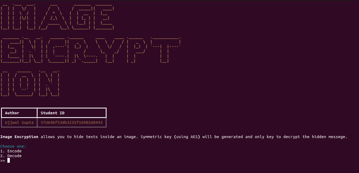 GitHub - masterujjval/Project-Stegano: Tool for steganography