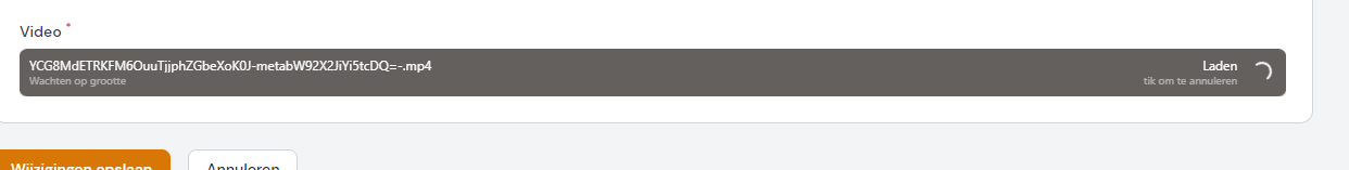 No preview for uploaded video · filamentphp filament · Discussion #5516 · GitHub