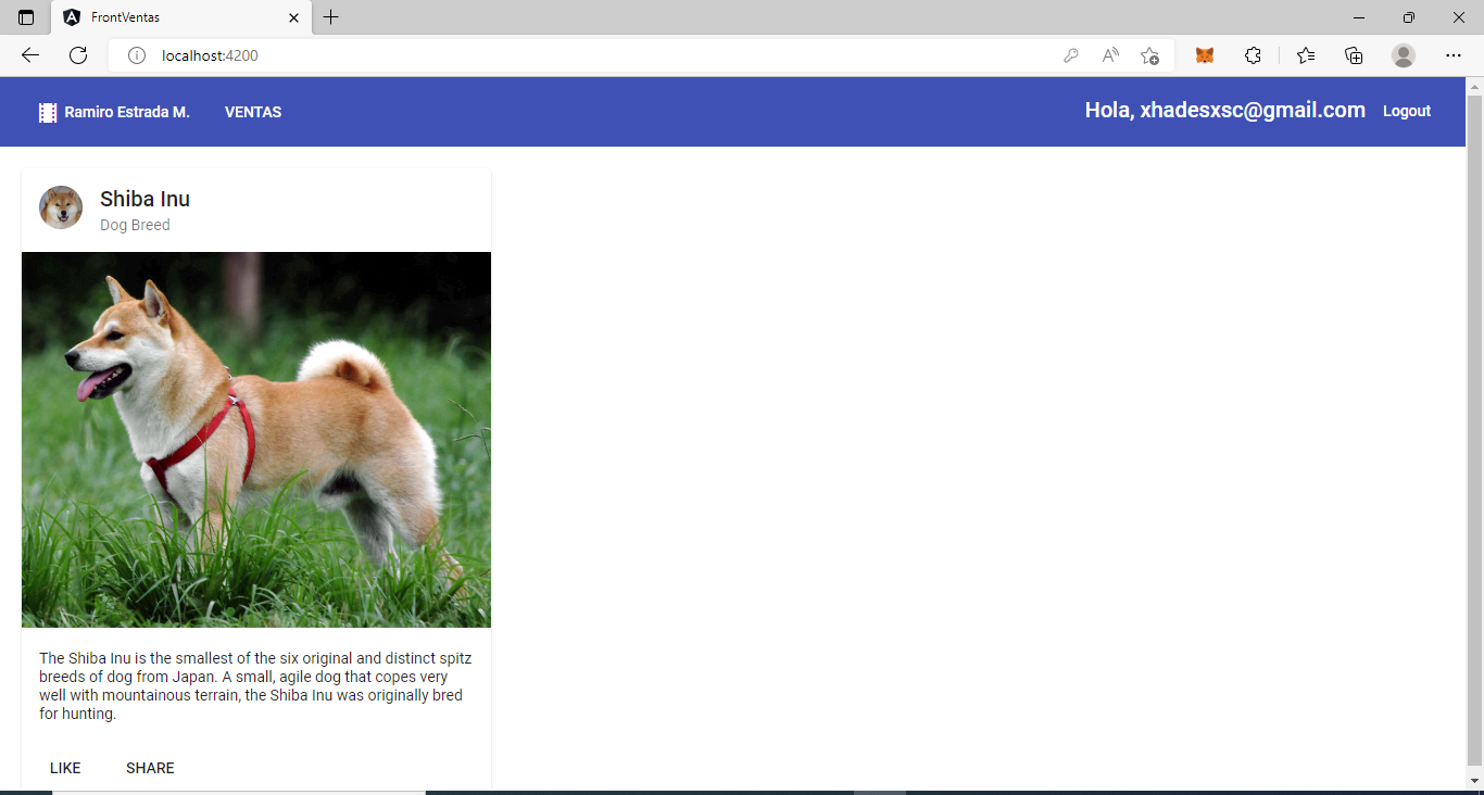GitHub - xhadesxsc/front-practice: practica front en angular
