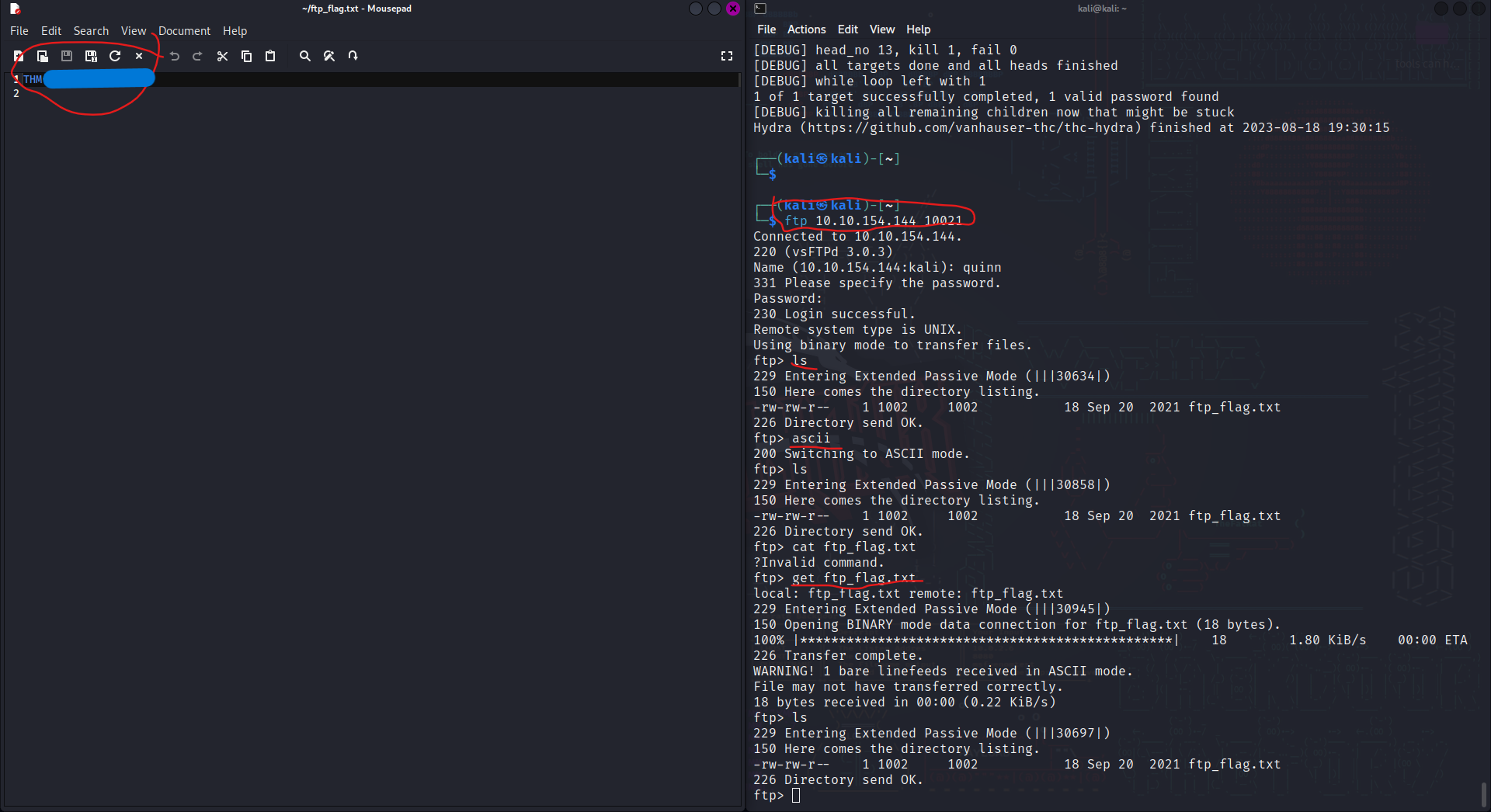 GitHub - MRKING20/Net-Sec-Challenge-Writeup: Net Sec Challenge Writeup (TryHackMe) By King