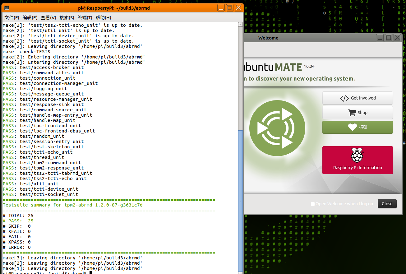 test/tss2-tcti-tabrmd_unit will crash if "make check-TESTS" from a ssh ...