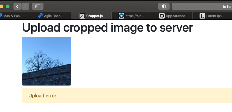 Upload in Safari breaks the image integrity · Issue #820 · fengyuanchen/cropperjs · GitHub