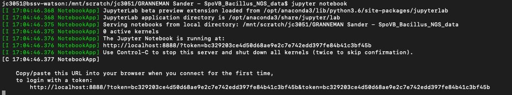 Issues Launching Jupyter Notebook From A Remote Server And Opening On 