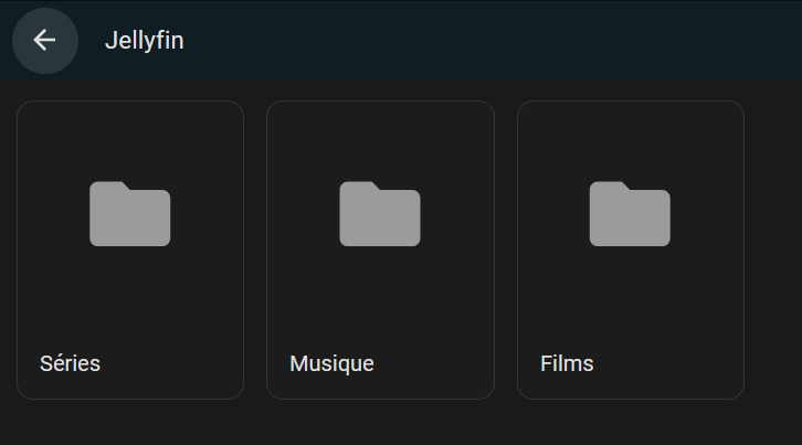 Jellyfin integration shows no content inside folders · Issue #93123 · home-assistant/core · GitHub
