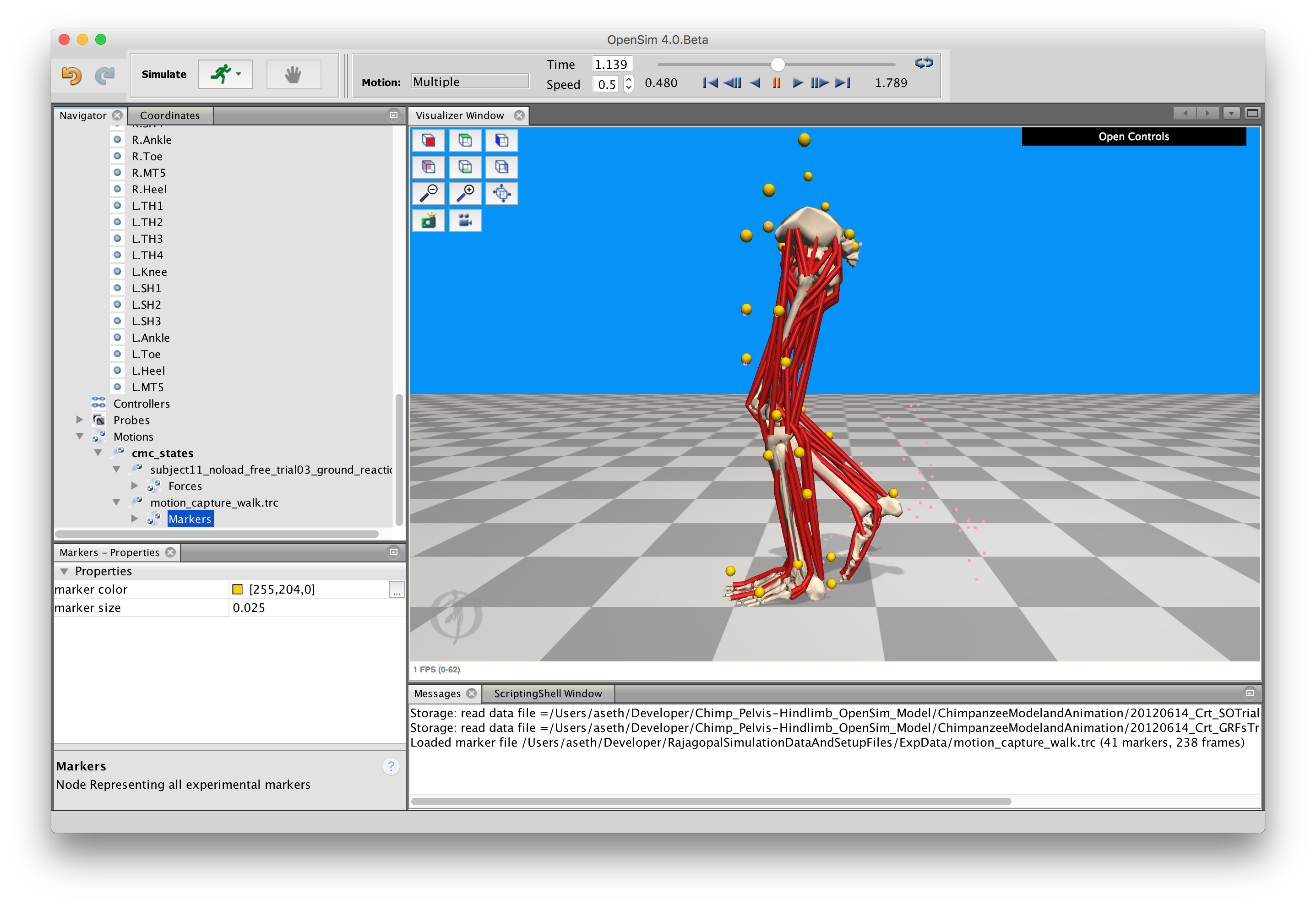 Change Default Marker Size For Model And Experimental Markers To 10mm 