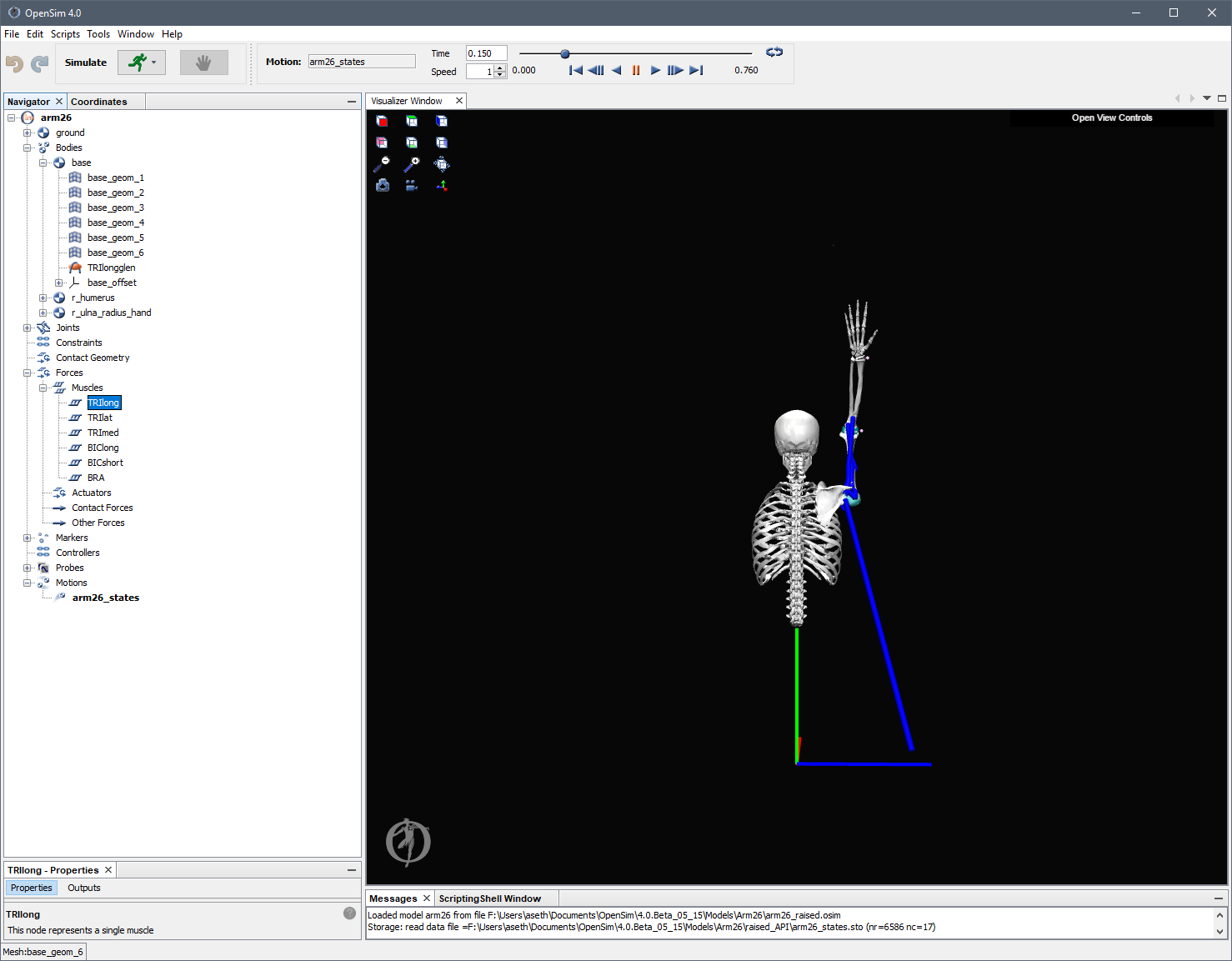 Error drawing muscle paths when there is a NaN in the state · Issue #762 · opensim-org/opensim ...