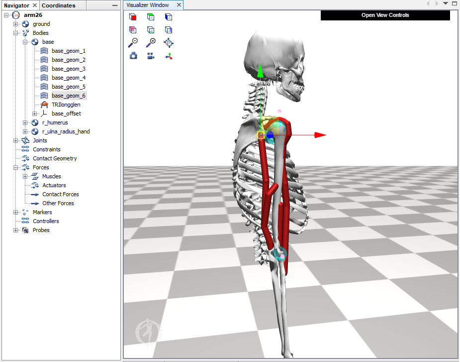 Graphical selection of a path point does not highlight the corresponding Component (e.g. Muscle ...