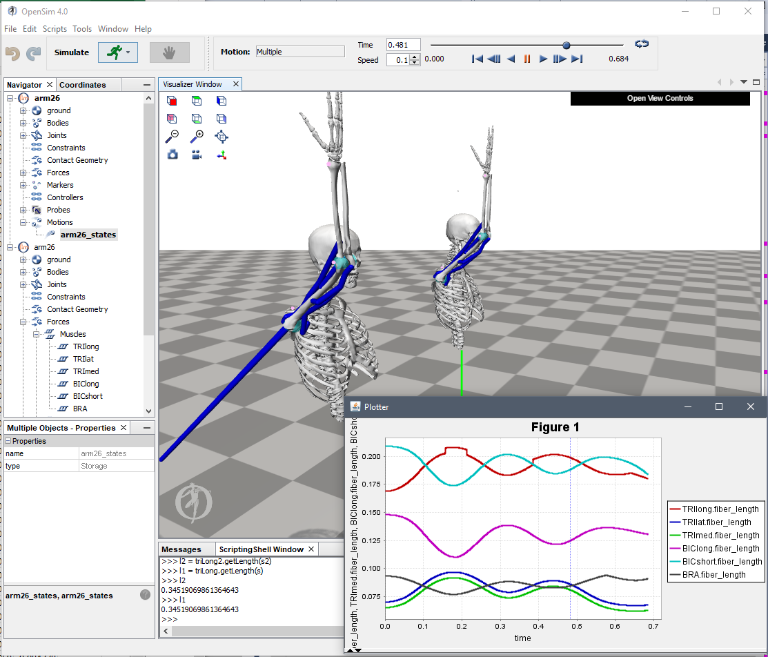 Error drawing muscle paths when there is a NaN in the state · Issue ...