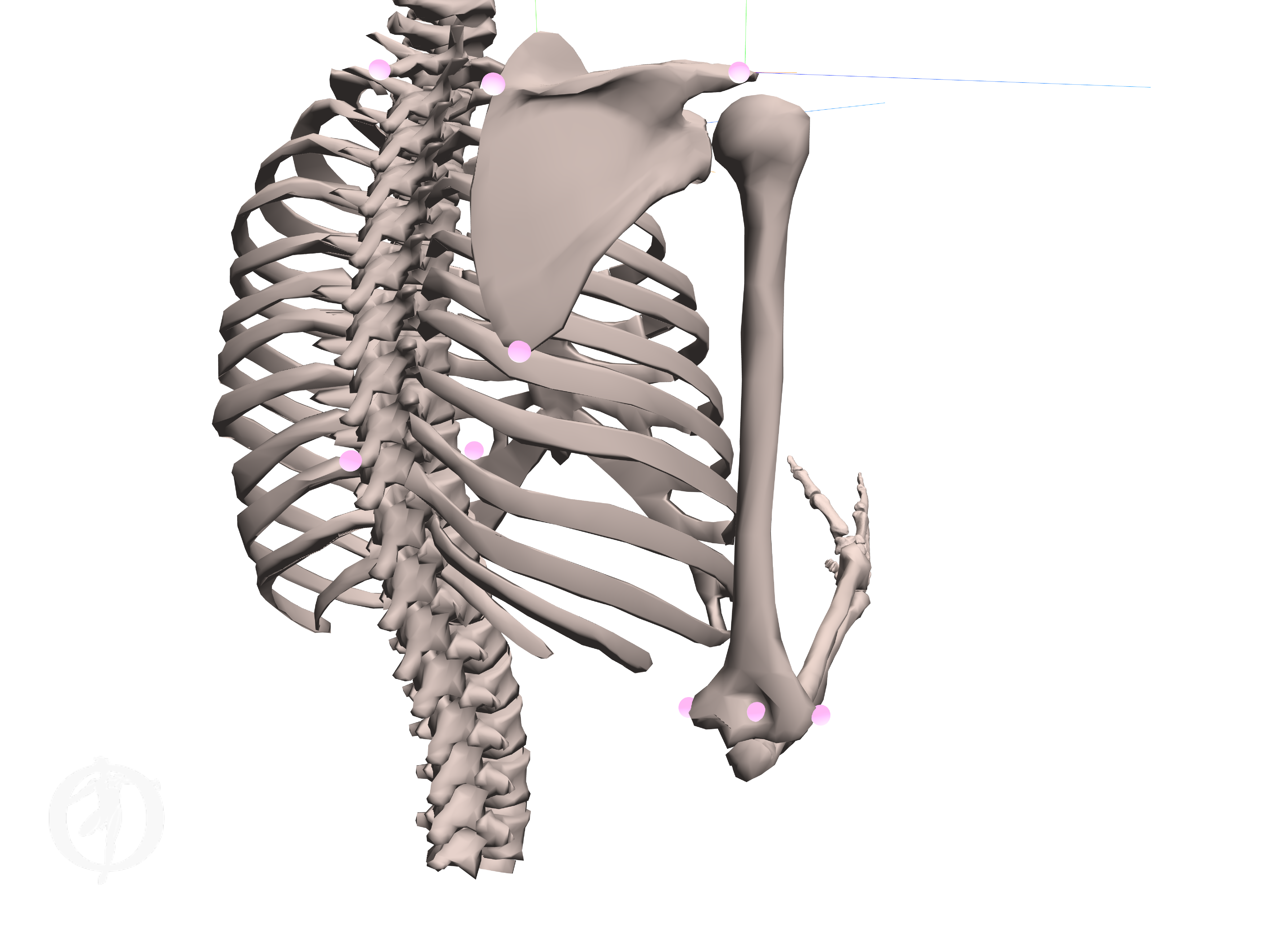 Saving high-resolution screenshots from the visualizer cuts off the image · Issue #299 · opensim ...
