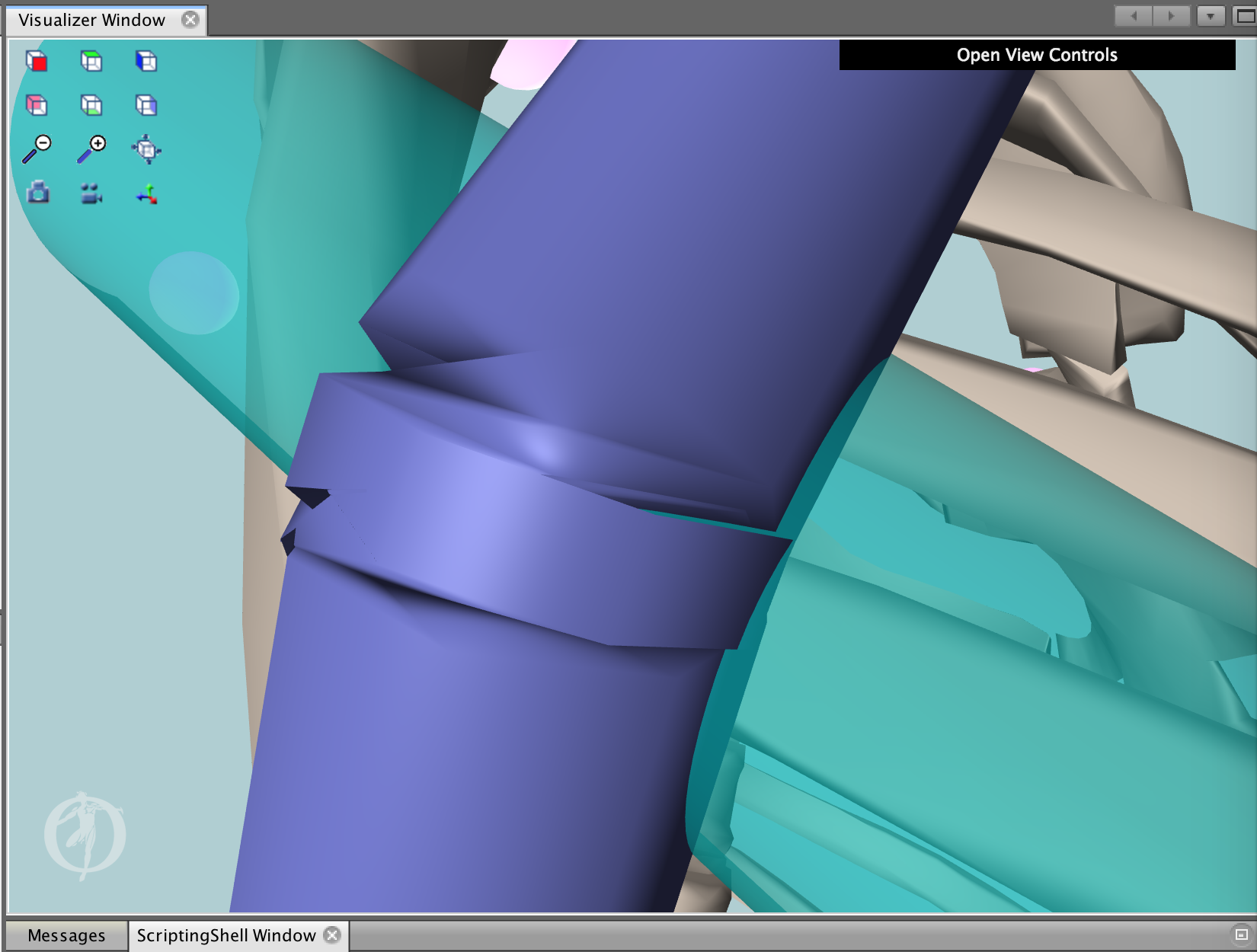 Muscle path renders with visible "tears" · Issue #889 · opensim-org/opensim-gui · GitHub