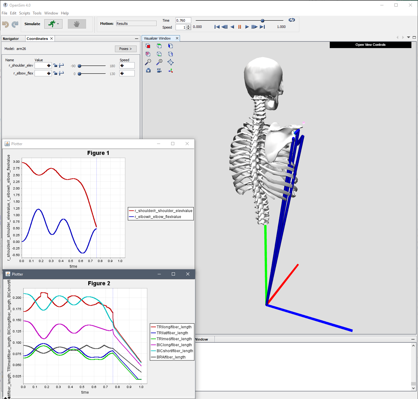 Error drawing muscle paths when there is a NaN in the state · Issue ...