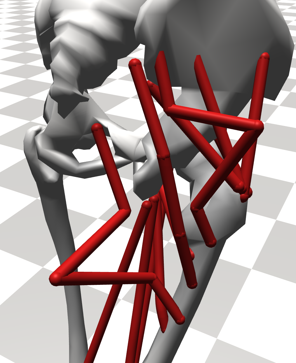 Graphically moving path point displays a convoluted path · Issue #816 · opensim-org/opensim-gui ...