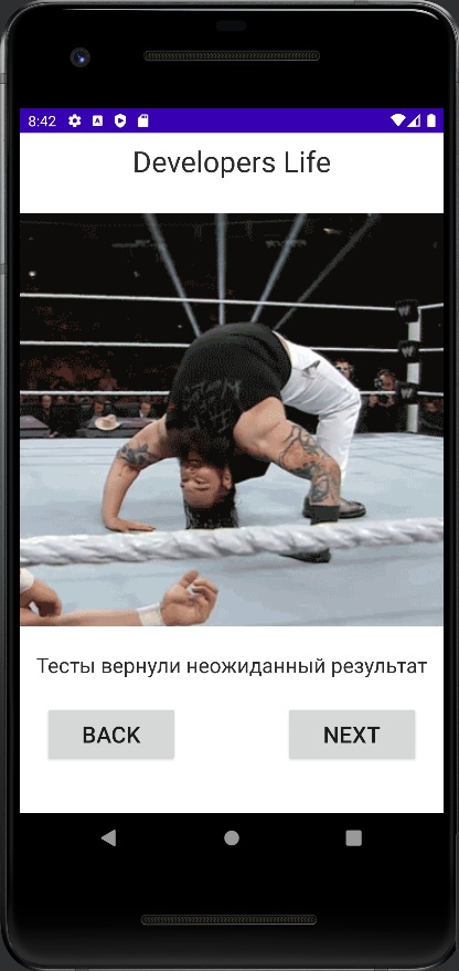 GitHub - VadimTataru/developersLife